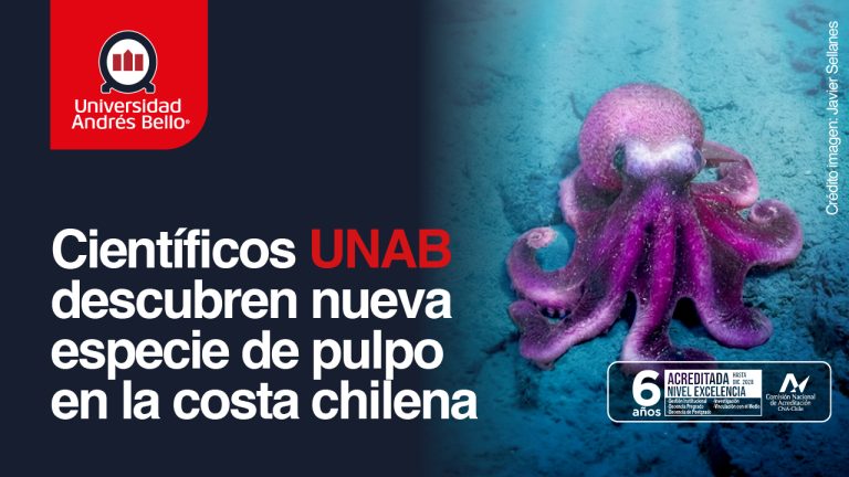 ARAUCO pone a disposición pública datos de biodiversidad a través de ...