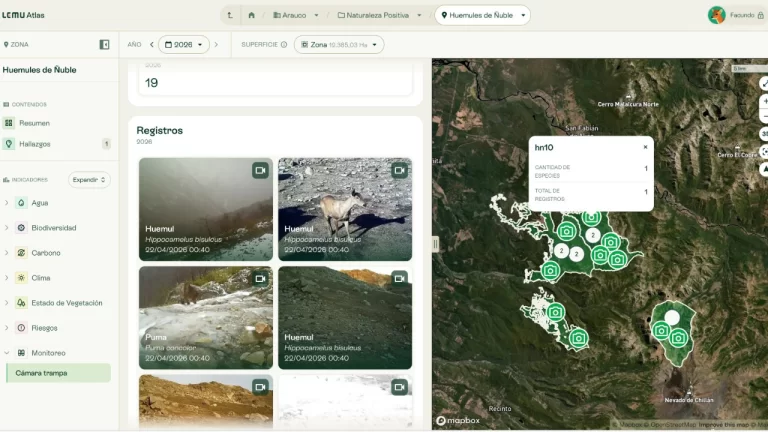 ARAUCO pone a disposición pública datos de biodiversidad a través de ...